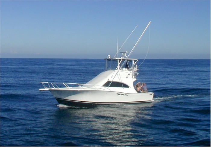 2000 Luhrs 360 Convertible Sportfisher For Sale